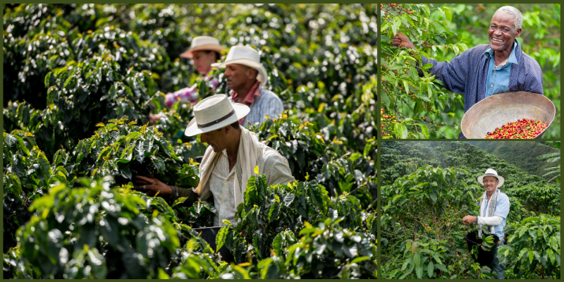 5 reasons why buying Fairtrade products is beneficial