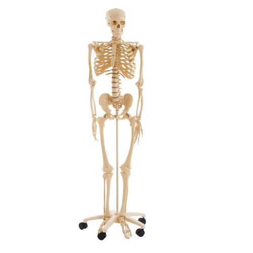 Science & Technology Resources - Education and School Supplies Swindon