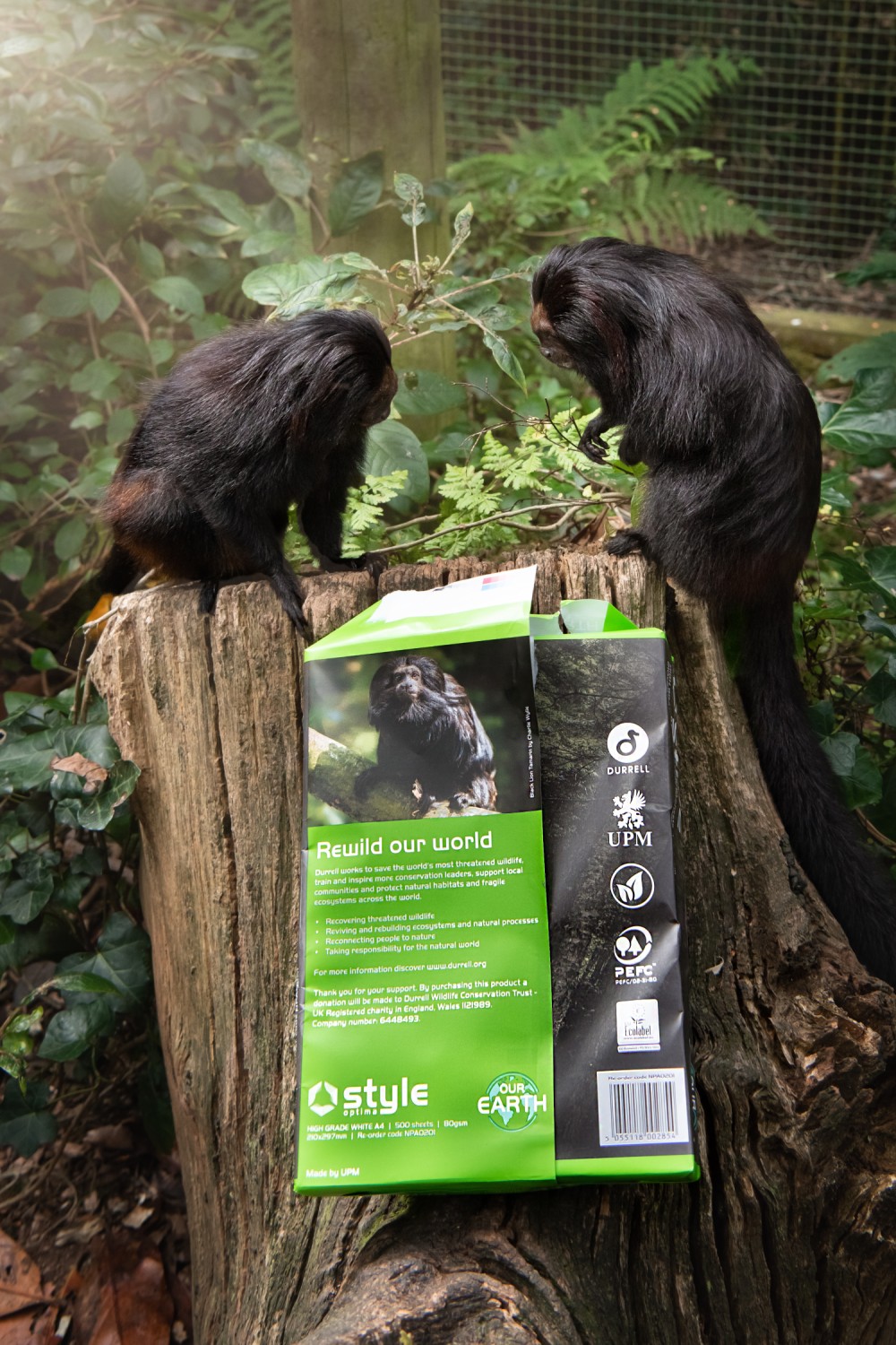 Our Earth A4 Multipurpose Paper - 80gsm - Ream (500 Sheets) - The Green ...