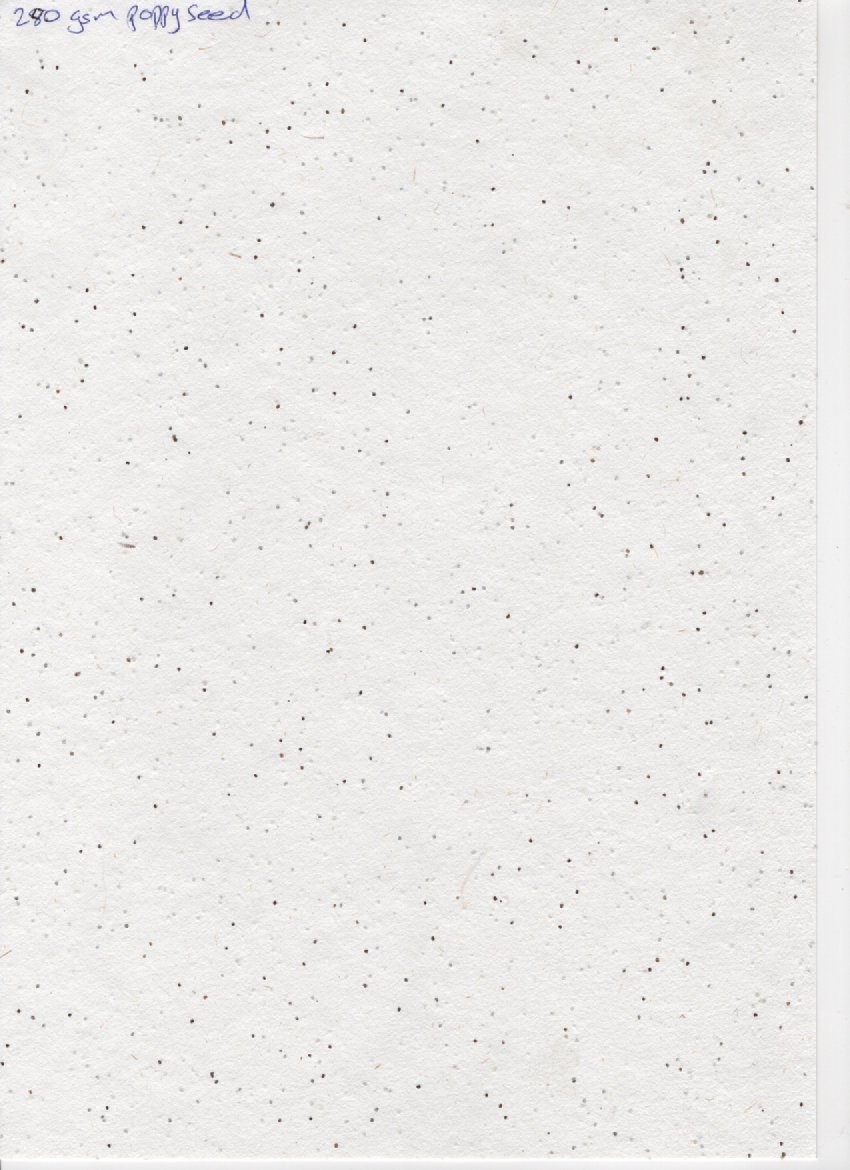 Seeded Light Card 200gsm - Poppy Seeds x 10 A4 sheets