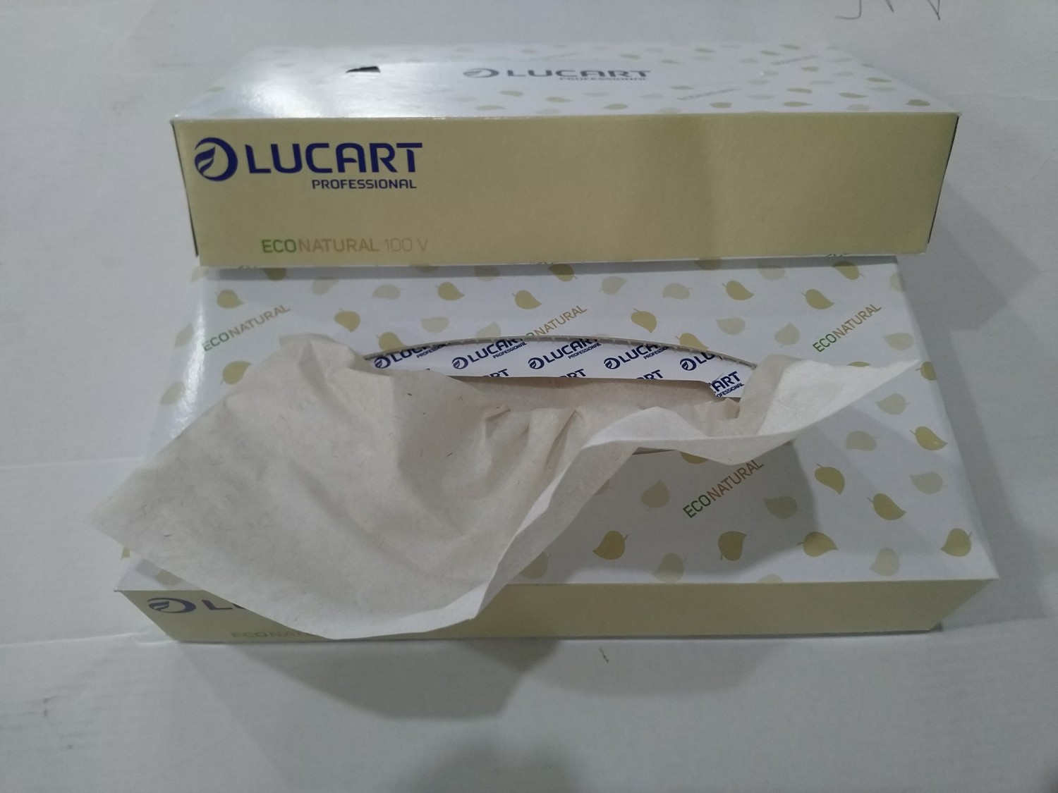 Lucart EcoNatural Recycled Facial Tissues 2 ply 100 Sheets
