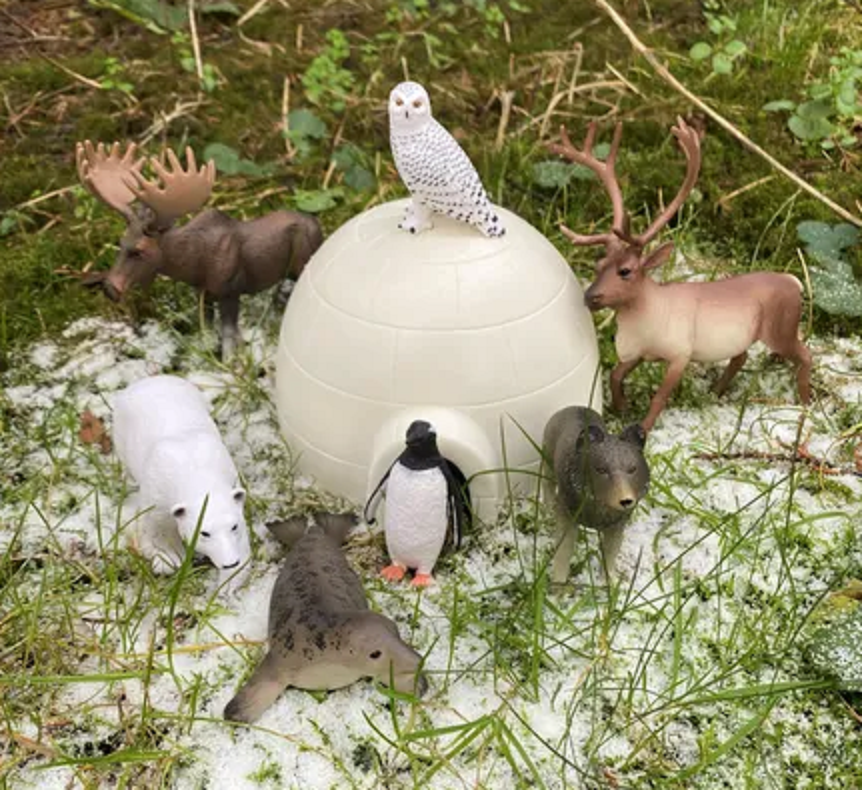 Cold Environment Animals Pack x 7