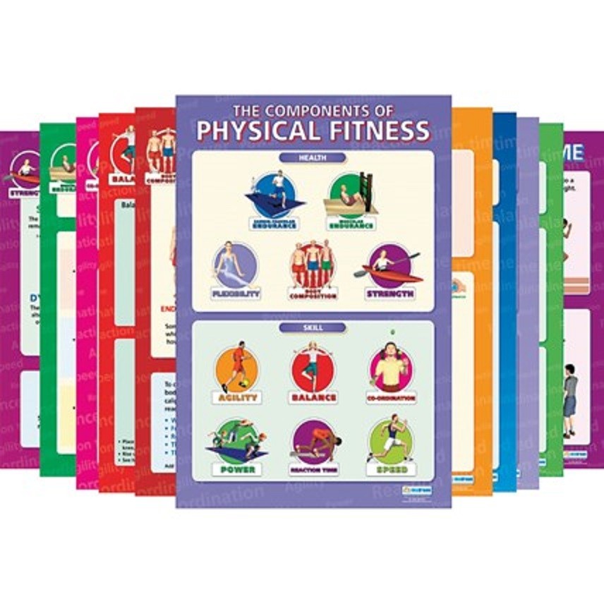 Components of Physical Fitness Posters - Pack x 12