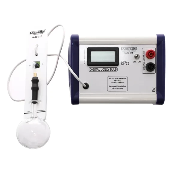 Digital Jolly Bulb by Lascells