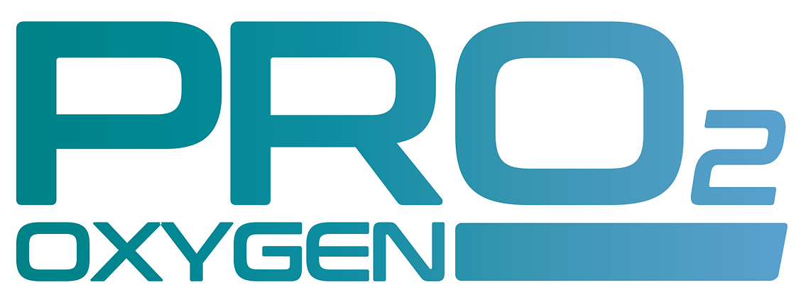 Pro2 Oxygen And Mask 22L